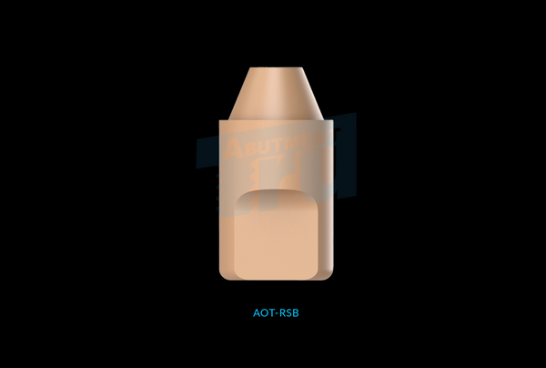 All-on-T Conversion Scan Body – TruAbutment Inc.